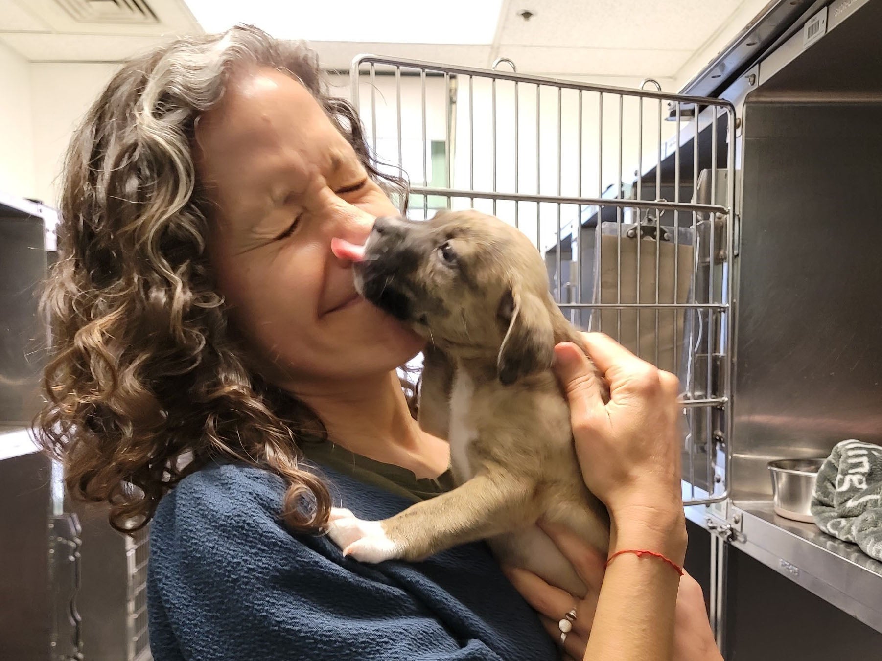 Spring 2023 – Shelter Summit and Fast Tracks – Shelter Learniverse